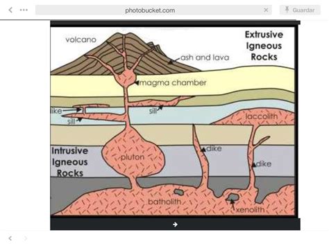 Introduction To Carbonate Petrography Artofit