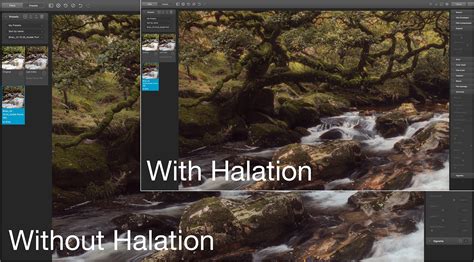 Is Dehancer The Answer — Brian Northmore Photography