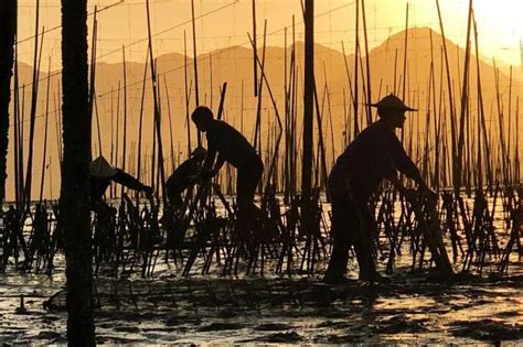 全国百强！霞浦上榜！沙江的有腾讯新闻