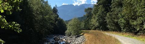 Mamquam River Forest Service Road British Columbia Canada 117
