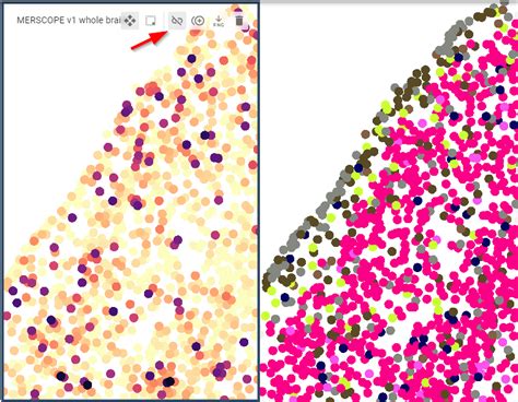 Abc Atlas User Guide Allen Brain Cell Abc Atlas Allen Brain Map