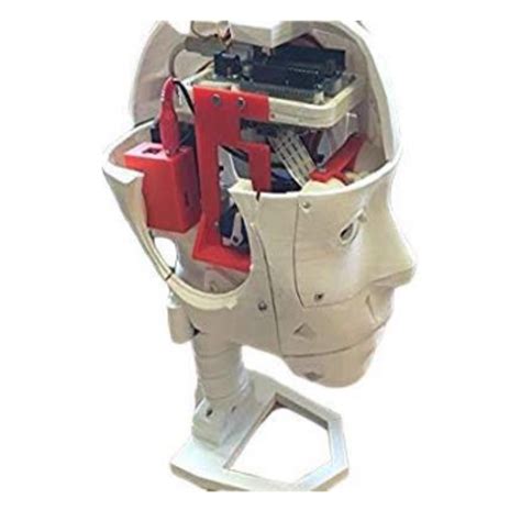 Robotic Head Easy Diy Mart