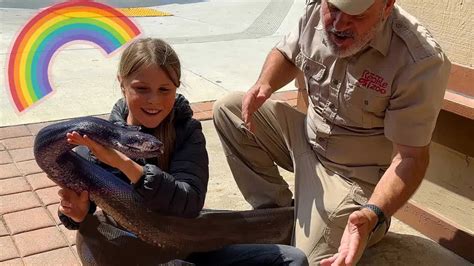 Our Sweetest And Most Beautiful Reticulated Python Meets Brooke