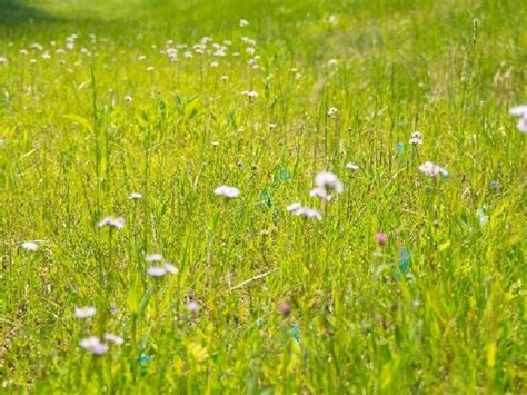 Massdot Environmental