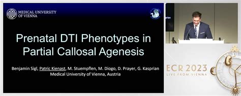 Prenatal And Paediatric Neuroimaging Esr Connect
