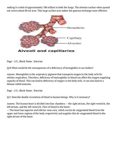 Ncert Solutions 2025 Class 10 Science Chapter 5 Life Processes