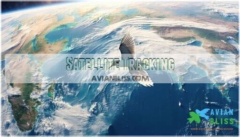 Bird Migration Tracking Techniques Modern Methods Scientists Use