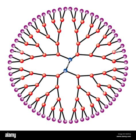 Dendrimer Illustration Of The Molecular Structure Dendrimers Are Artificially Created Branched