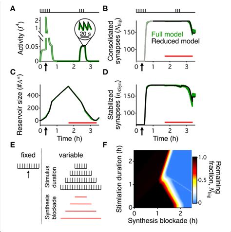 Boundary Conditions For Reconsolidation Mapped Using A Reduced Model Download Scientific