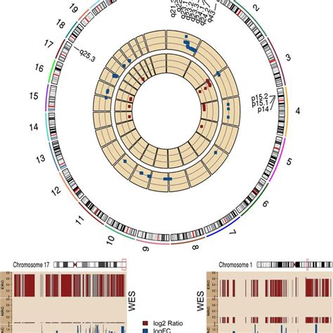 Circos Plot Of The Gene Level Copy Number Alteration Top Gene Level
