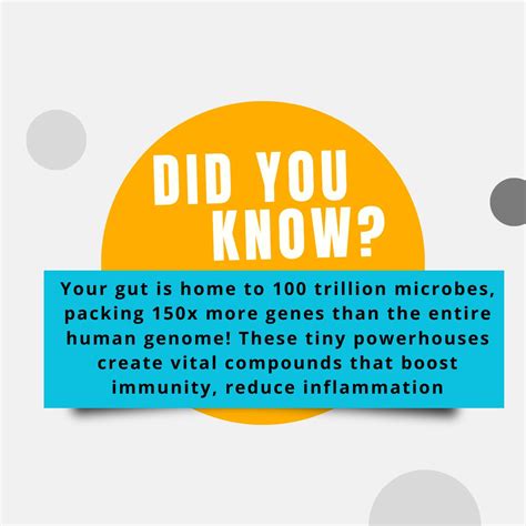 Guthealth Microbiomemagic Guthealth Microbiome Healthfromwithin