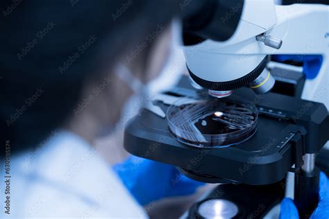Scientist Holding Agar Plate For Diagnosis Bacterial Or Microorganism