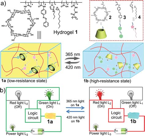 A Chemical Structure Of Hydrogel 1 Schematic Representations Of 2 3