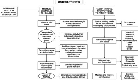 Otitis Media Basicmedical Key