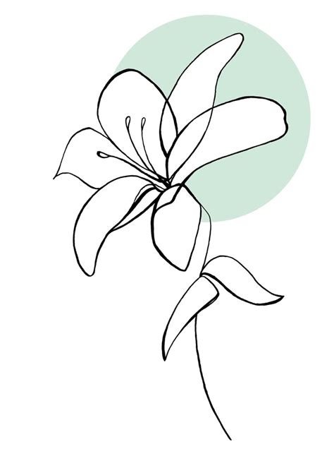 Sage Eclipse Lily Watercolour Line Painting Print Wall Art Home Decor