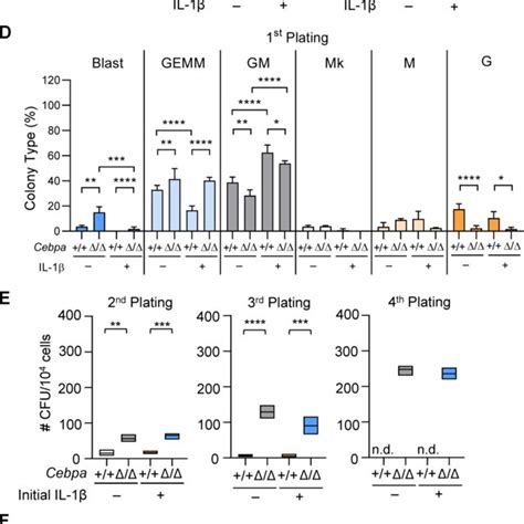 Hspc Specific Cebpa Knockout Enhances Mpp Activity A Experimental