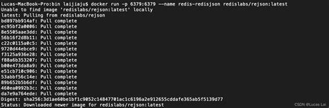 Redisjson 入门教程 Csdn博客