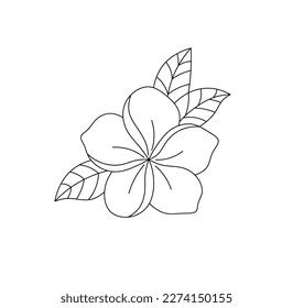 Easy To Draw Hawaiian Flowers Step By Step