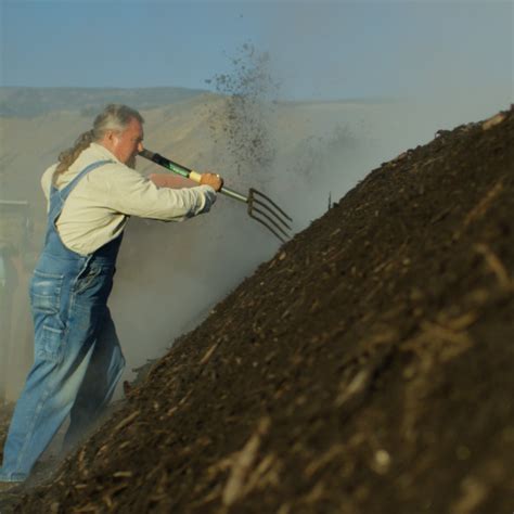 Susan Graham Mathison