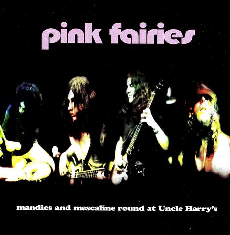 AvaÍ Rock And Roll Pink Fairies Madies And Mescaline Round At Uncle