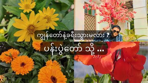 မေမြို့ သို့ ပြင်ဦးလွင် ပန်းပွဲတော်သို့အလည်တစ်ခေါက် Youtube