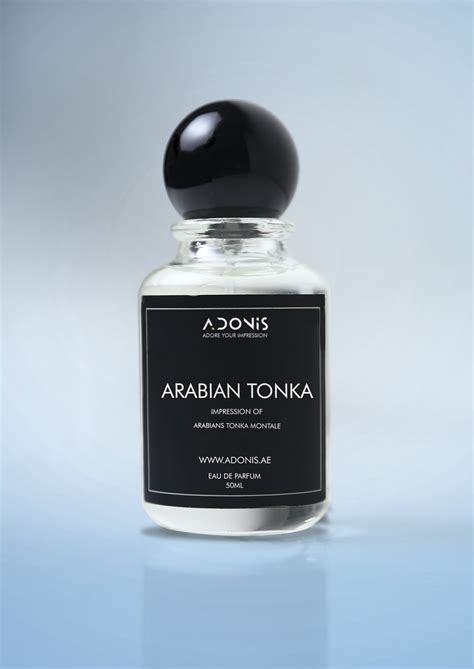 ARABIAN TONKA - ADONIS