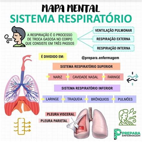 EnfConcursos PreparaEnfermagem on Instagram MAPA MENTAL SISTEMA RESPIRATÓRIO Ele vai te