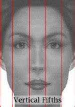 Nasal Analysis Rhinoplasty San Diego La Jolla Ca Dr Hilinski