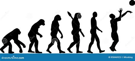 Basketball Evolution Stock Vector Illustration Of Basket 85846923