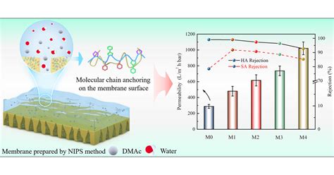 Preparation Of High Flux Chlorinated Polyvinyl Chloride Composite Ultrafiltration Membranes With