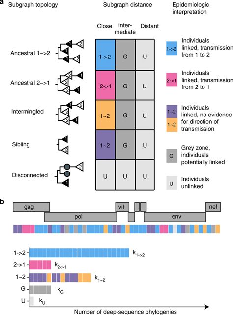 Epidemiological Interpretation Of Deep Sequence Phylogenetic Data A Download Scientific