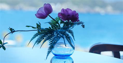 【花游7月イベント】夏休み直前 大抽選会🐬🎊 お知らせ 花いろどりの花游（太地温泉・那智勝浦）
