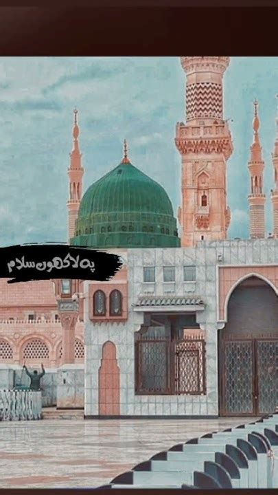 جس سوہانی گھڑی چمکا طیبہ کا چاند Viralvideo Viralislamicvideo Motivation Viralvideo