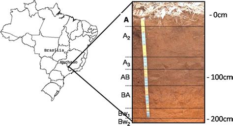Humic Hapludox Profile Showing The Very Thick Umbric Epipedon