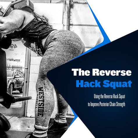 Programming And Performing The Reverse Hack Squat Westside Barbell