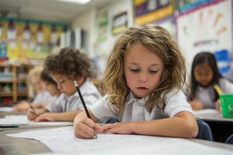 Unit Plan 30 Grade 1 Math Measurement Review—compare And Graph