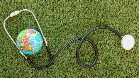 “la Evidencia Del Cambio Climático Son Las Olas Prolongadas De Calor Como La Que Vivió