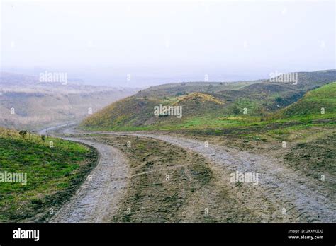 Dirt Muddy Road Wet Puddle Countryside Autumn Fall Green Grass Steppe