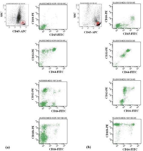 A Combination Of Cd15cd10 Cd64cd33 Cd16cd13 Or Cd11b Flow