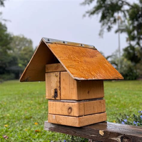 Native Stingless Bees In Winter Behaviour And Caring Tips