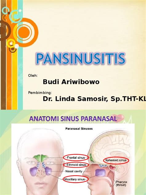 Pansinusitis Diagnosis Dan Terapi Pdf