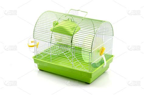 黄色小仓鼠笼