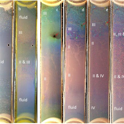 Two Representative Examples Of The Spatio Temporal Sequence And Download Scientific Diagram
