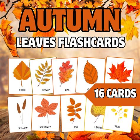 Civil Rights Movement Timeline Poster Black History Month Timeline