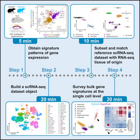 A Protocol To Extract Cell Type Specific Signatures From Differentially