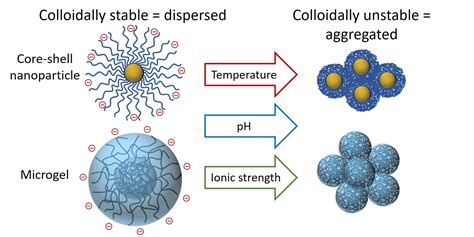Review On Nanoparticles That Show Multi Stimuli Responsive Aggregation