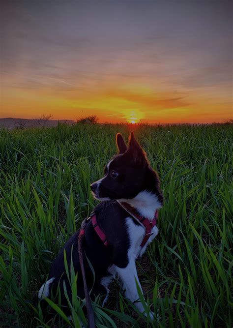 Squirrel Album On Imgur