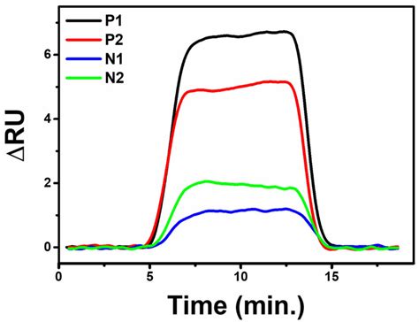 Spr Response Dynamics Of The Developed Chip Sensor To Nasopharyngeal