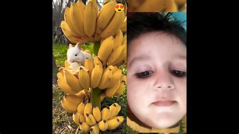 Who Is Cute Challenge 😳 Youtube