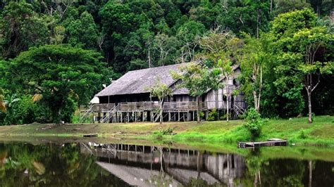 Immerse Yourself In The Authentic Longhouse Experience Sarawak